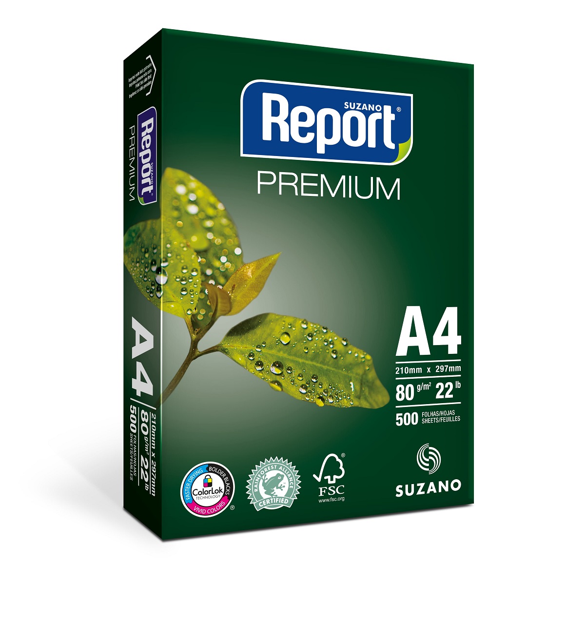 REPORT A4 PAPER 80g 5X